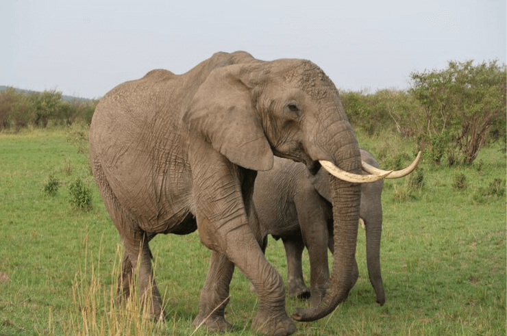 Kenya & Tanzania Group Adventure for Solo Travellers - Rock My Adventure